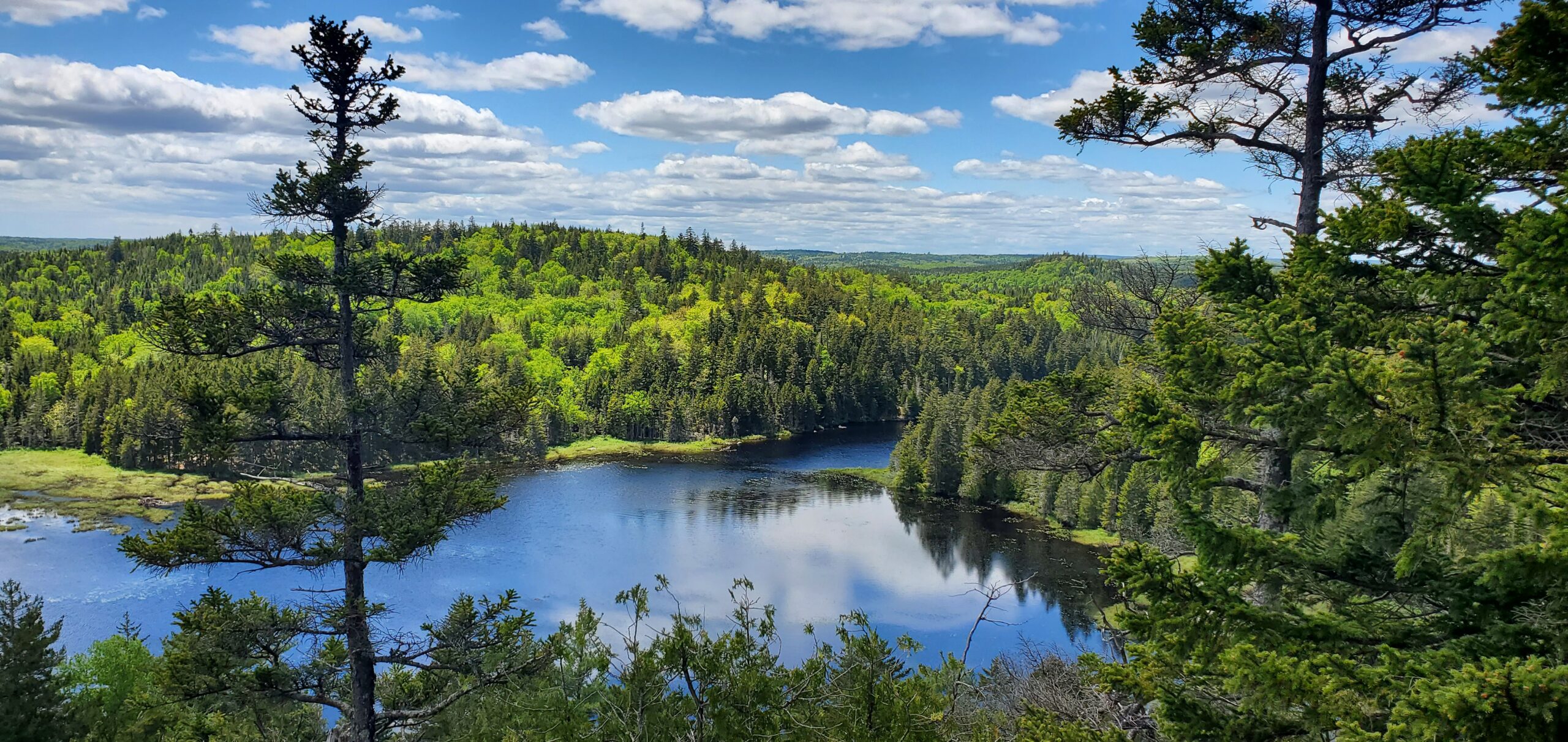 Blog & News | Downeast Coastal Conservancy